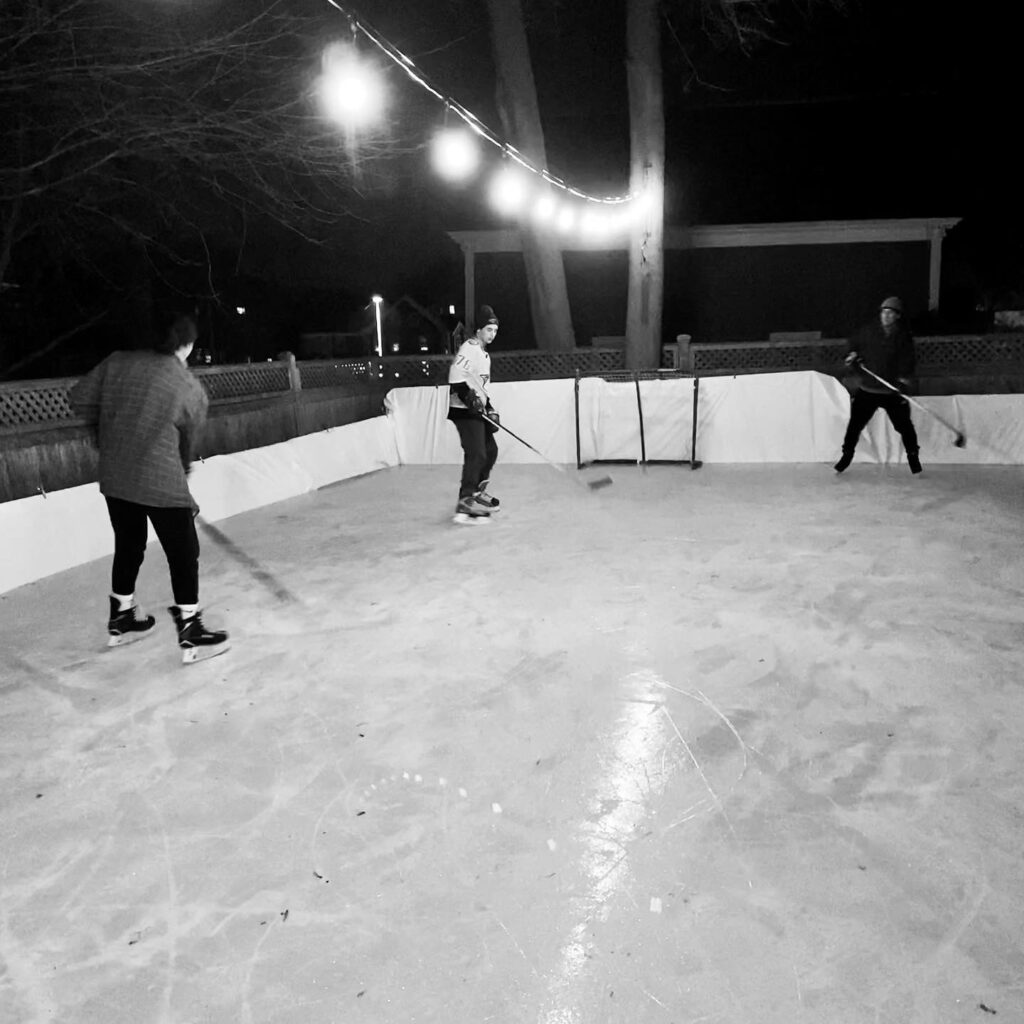 Books | Dana Alison Levy